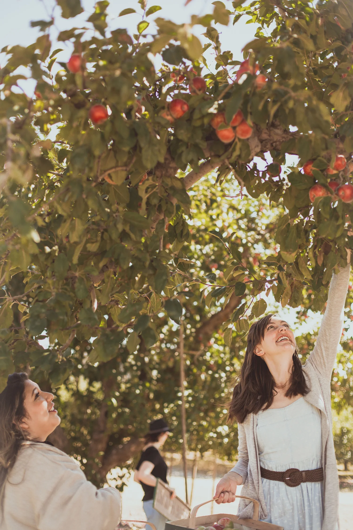 Produce — Los Rios Rancho