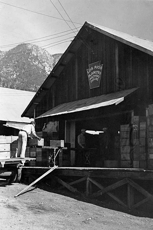 Our History — Los Rios Rancho