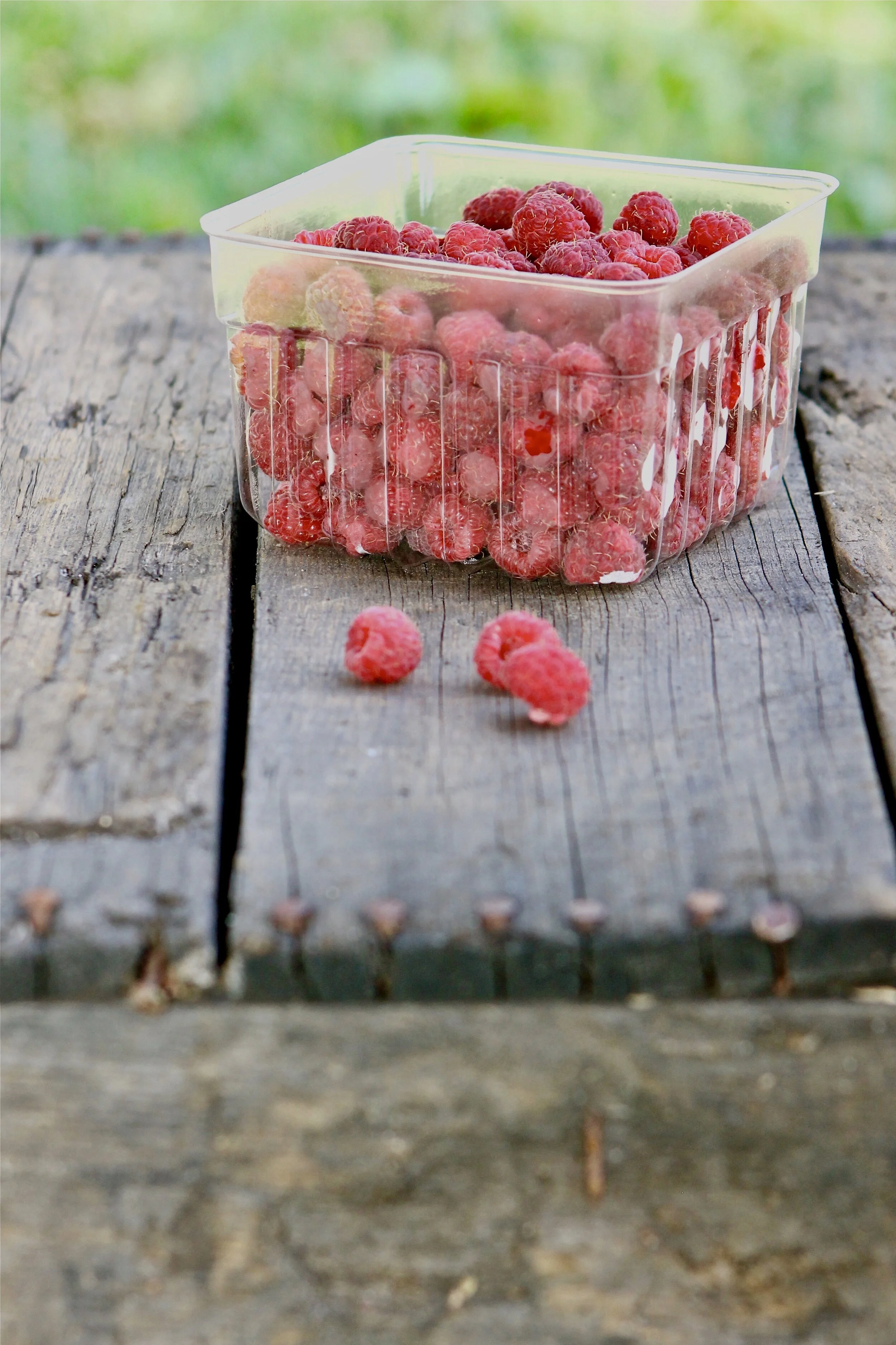 Produce — Los Rios Rancho