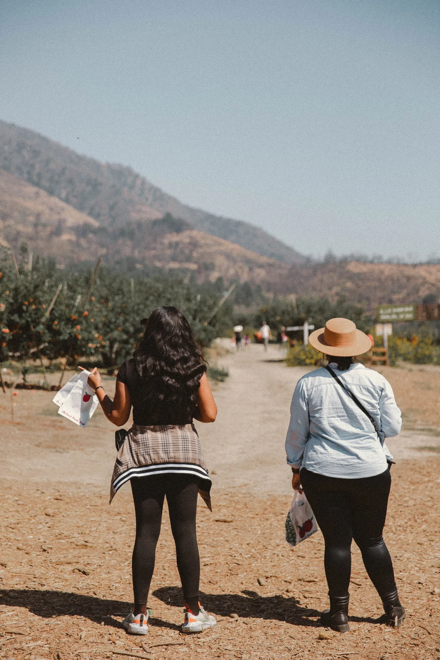 Apple Season: Things to Know — Los Rios Rancho