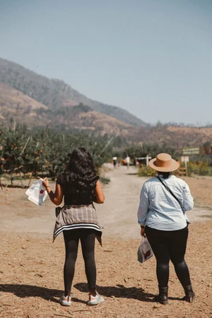 Apple Season: Things to Know — Los Rios Rancho