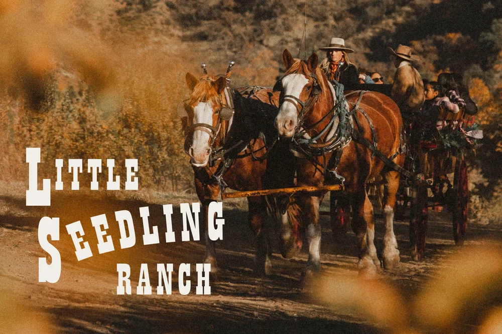 LSR — Los Rios Rancho