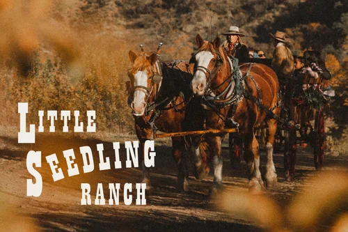 LSR — Los Rios Rancho