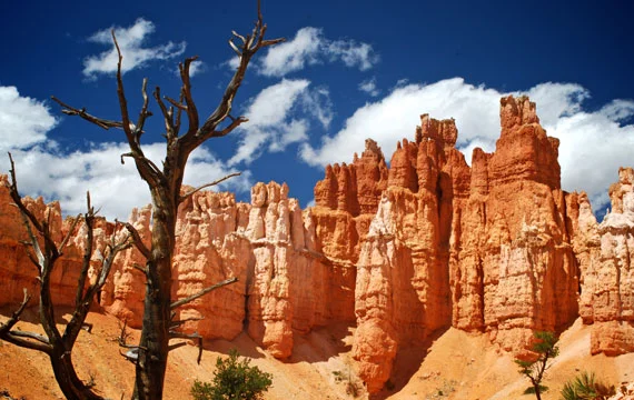 Bryce National Park — Shutter Goes Click