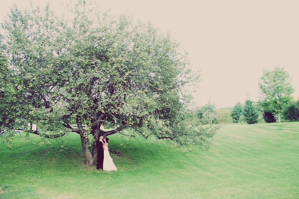 Site Fee — The Skinner Barn