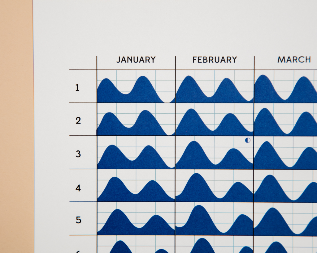 Meg O'Brien Design & Illustration