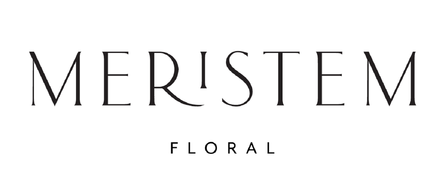 Meristem