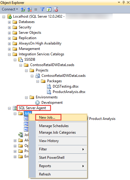 Parameterizing Connections and Values at Runtime Using SSIS Environment ...