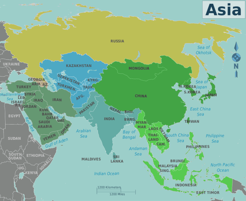 EXO Travel — Jones & Co Collection