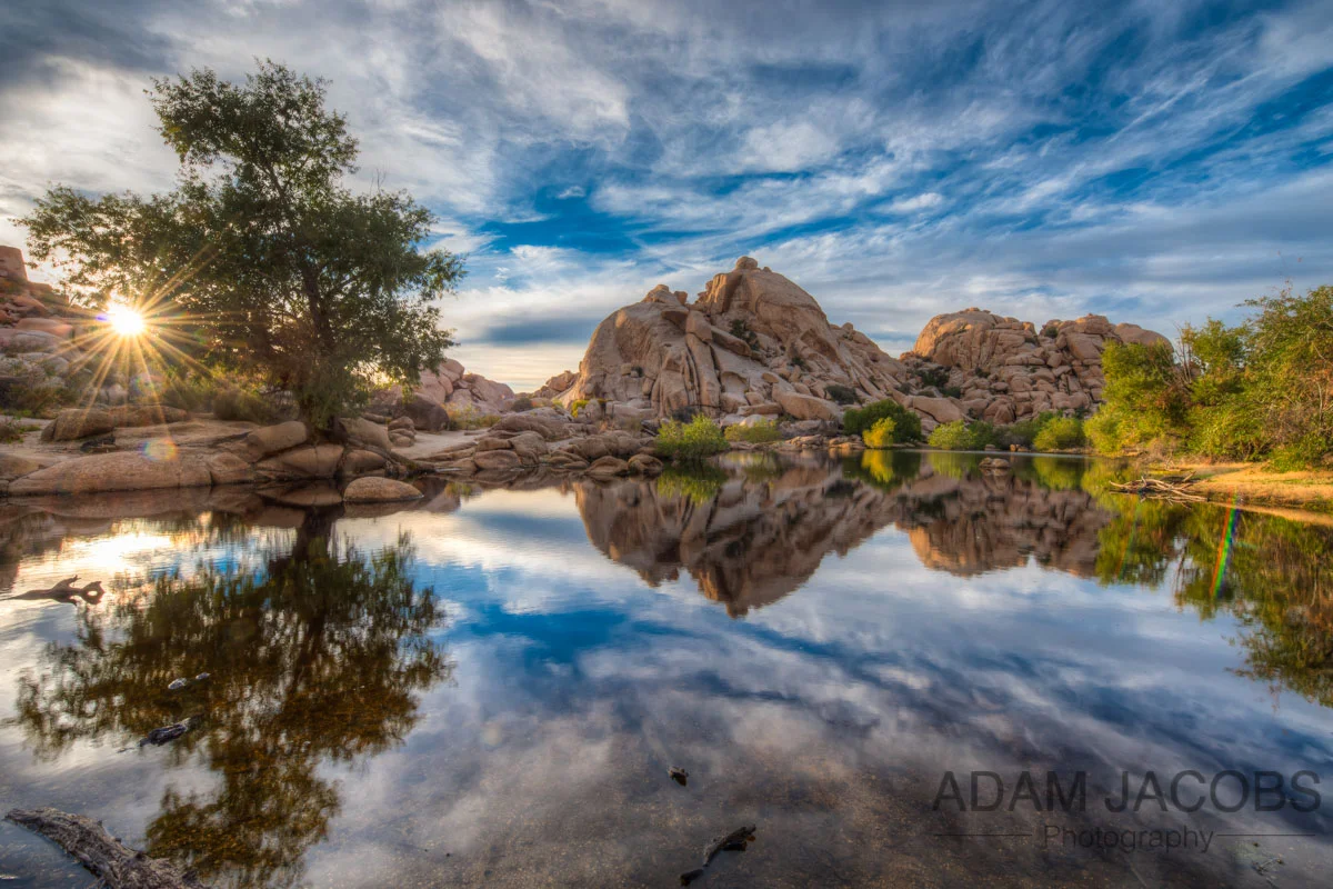 Photographing Joshua Tree National Park — Adam Jacobs Photography