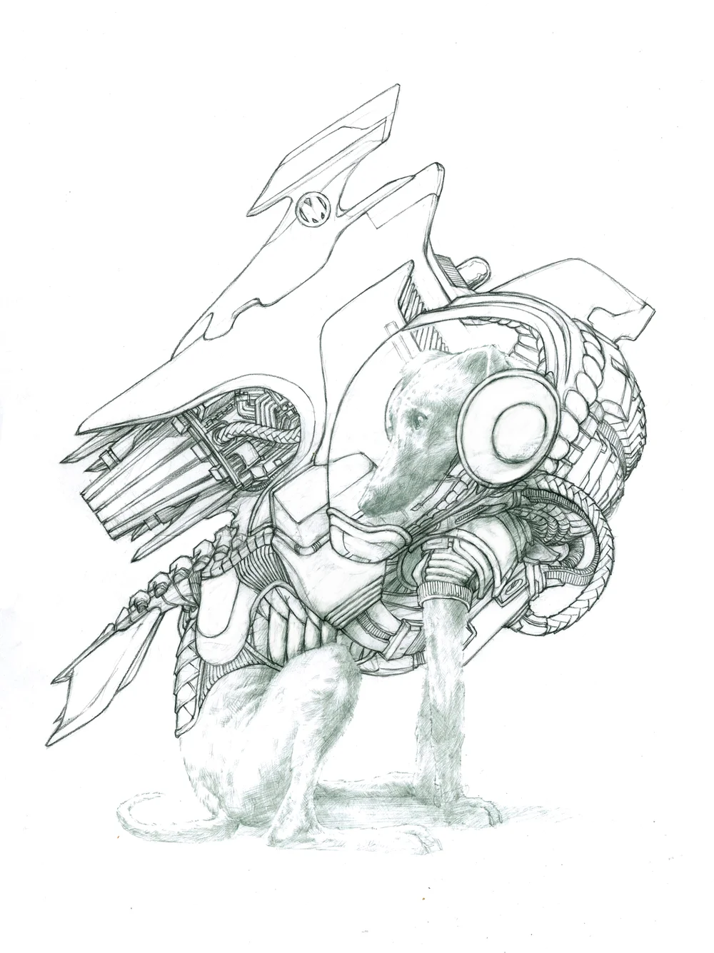 Jetpack Dogs — Gregory Titus Illustration