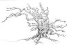 Angry Orchard — Gregory Titus Illustration