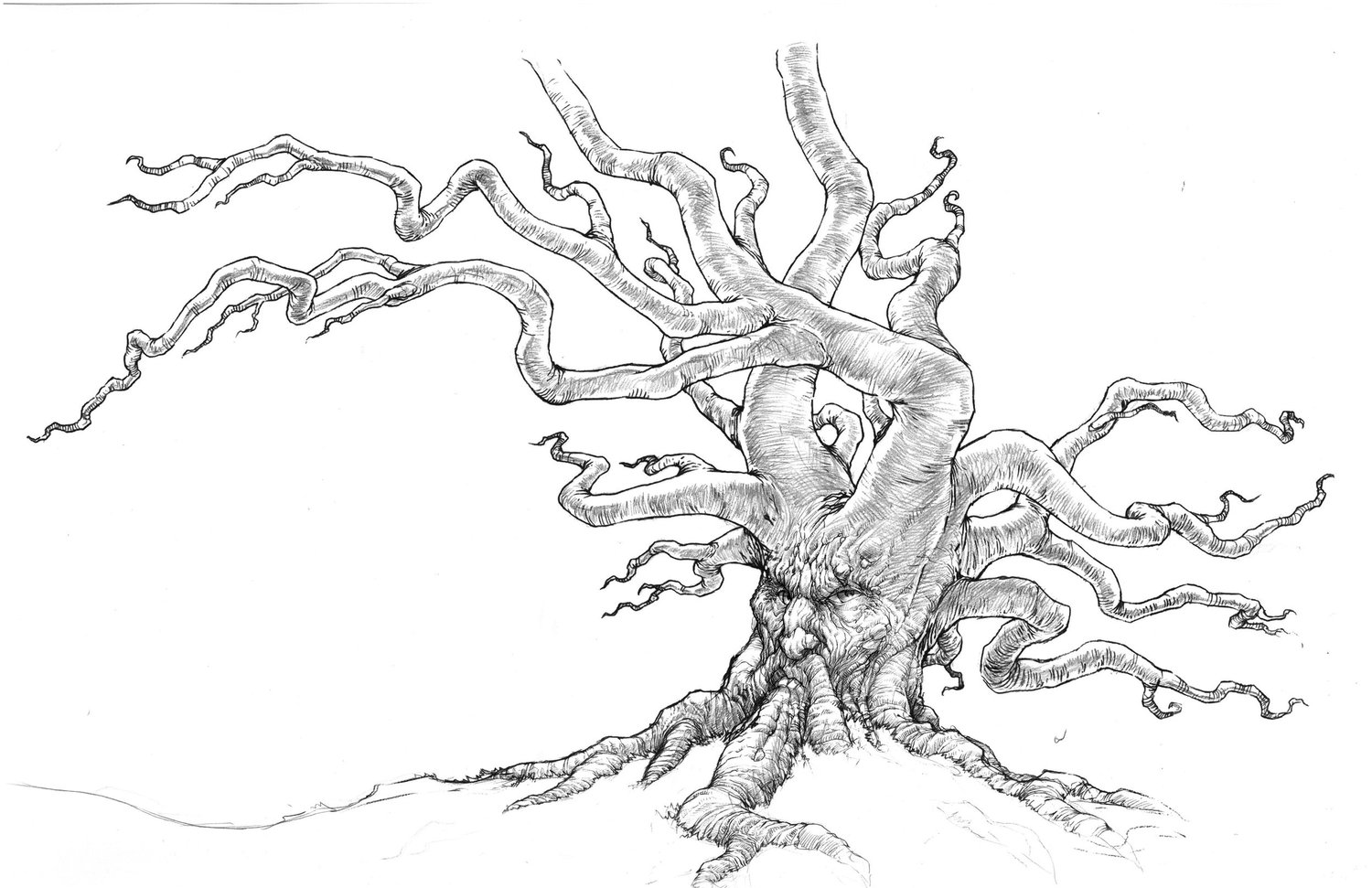 Angry Orchard — Gregory Titus Illustration