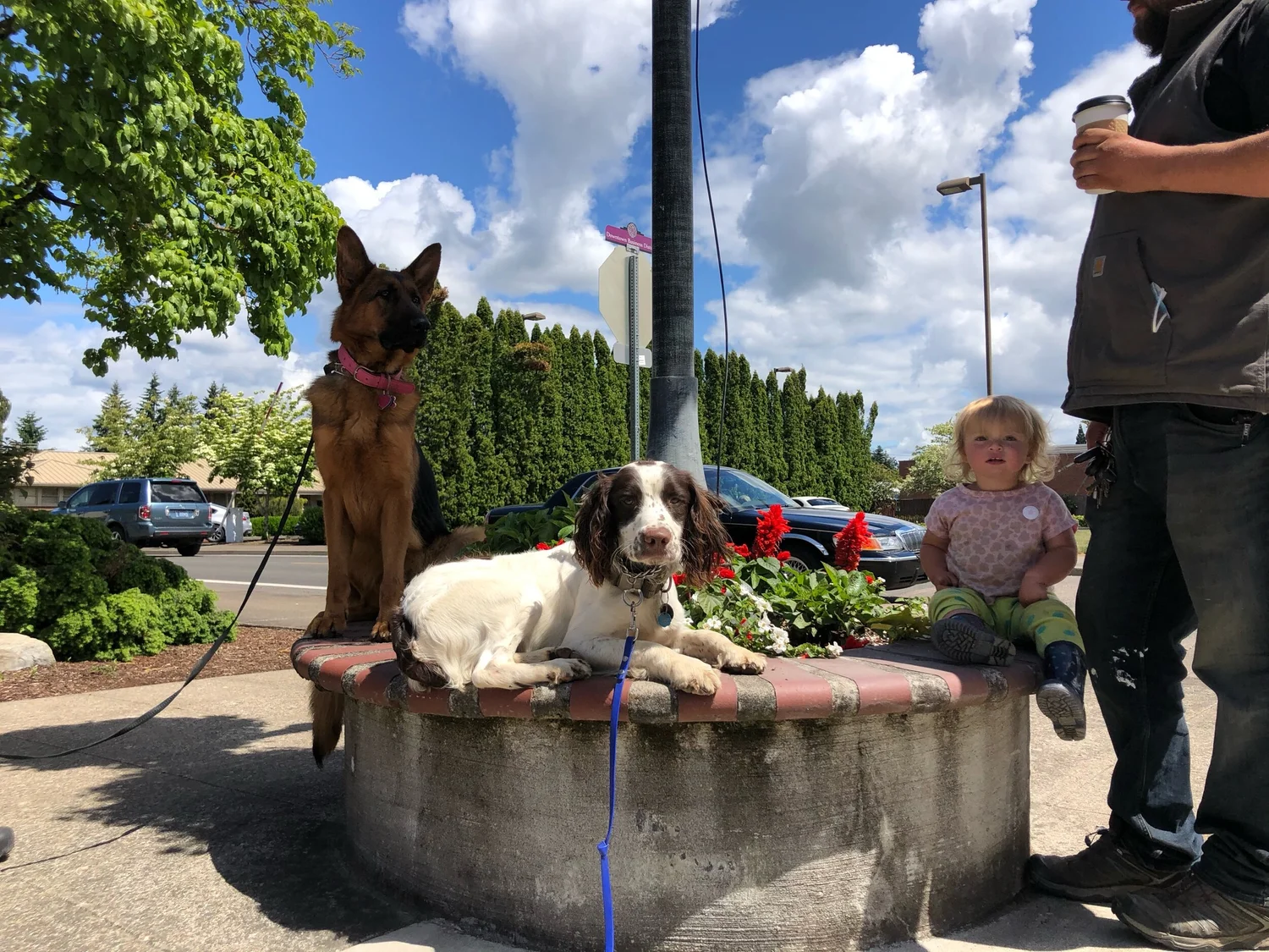 Portland Dog Trainer