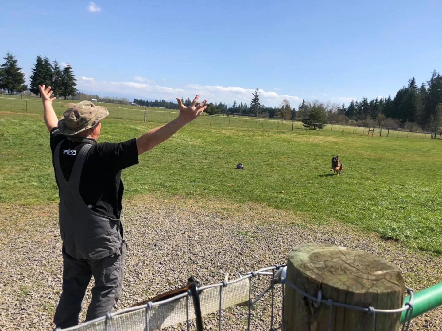 Portland Dog Trainer