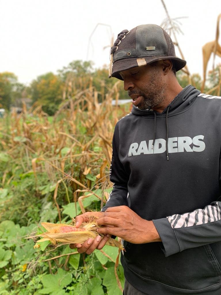 Philadelphia Community Farm Twin Cities and Western WI Non-profit