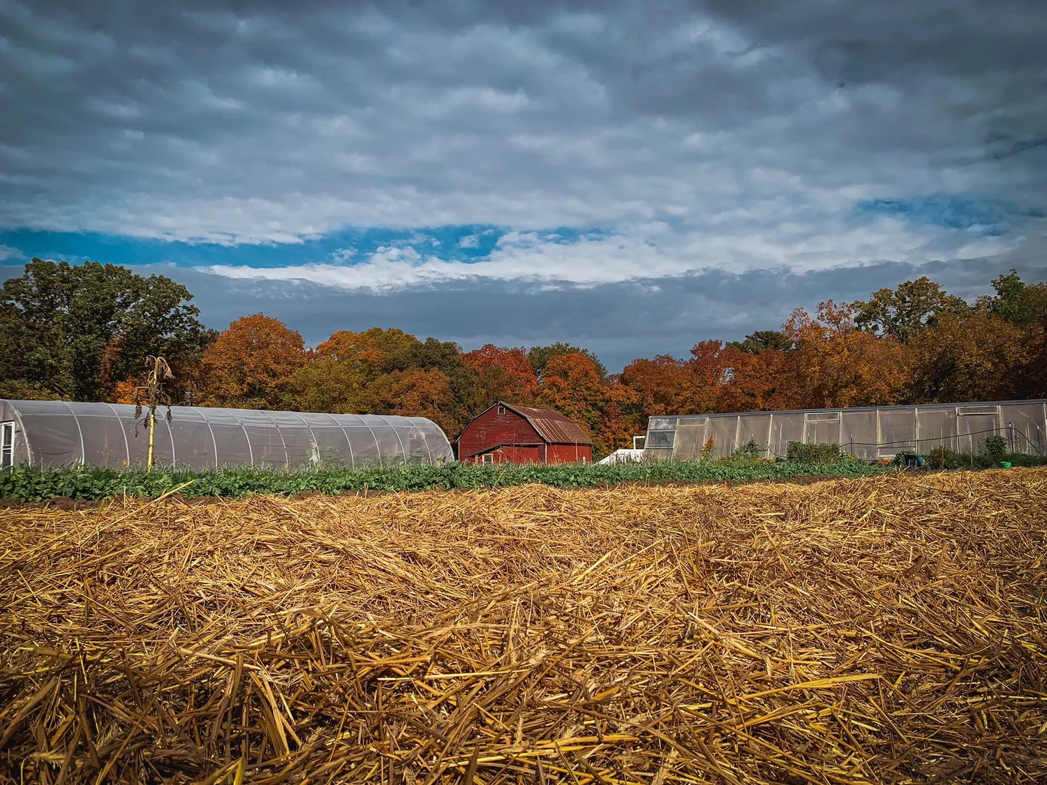 Home — Philadelphia Community Farm Twin Cities and Western WI Non-profit