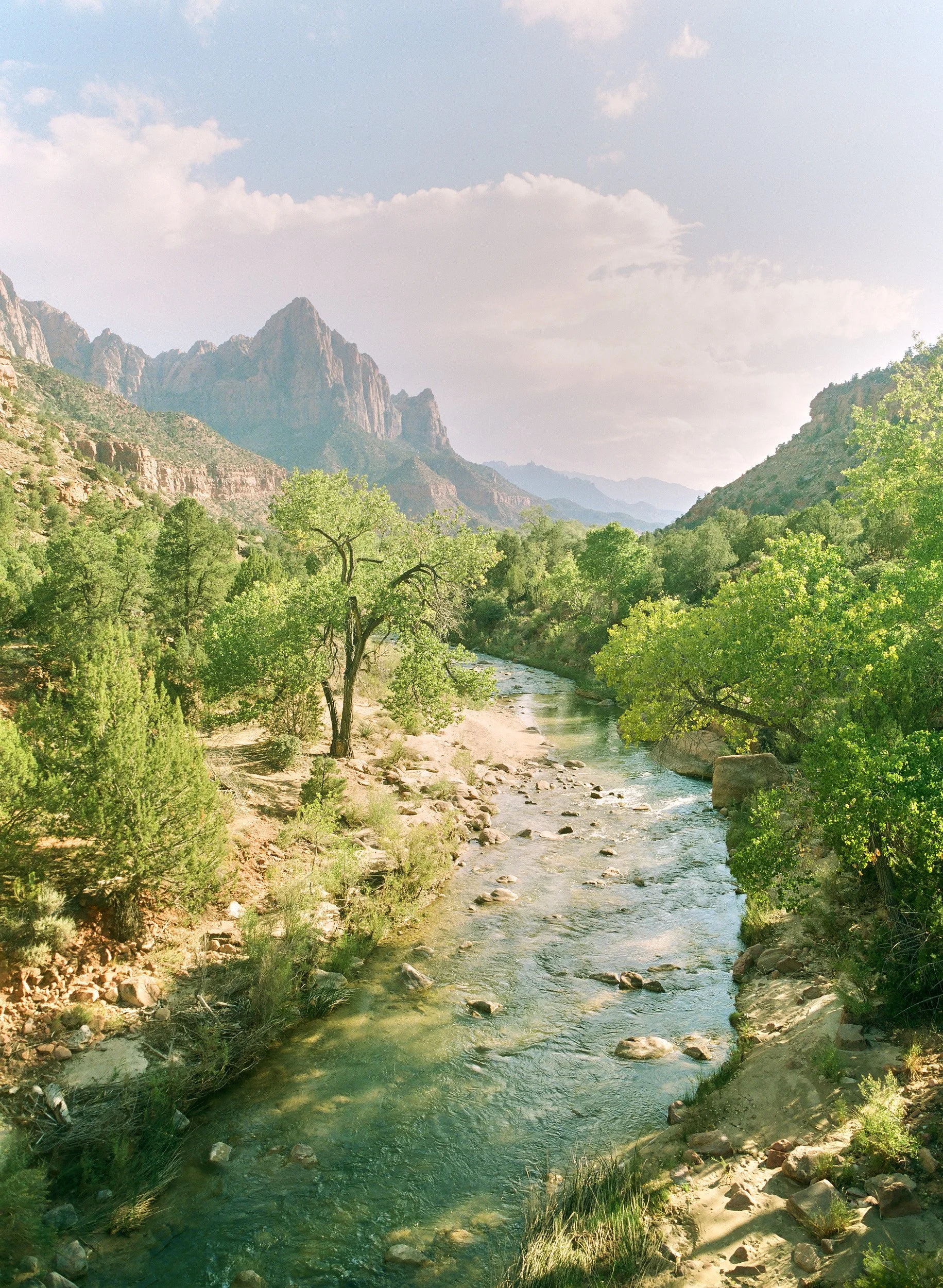 Photographer, Director, Creative Director | Los Angeles