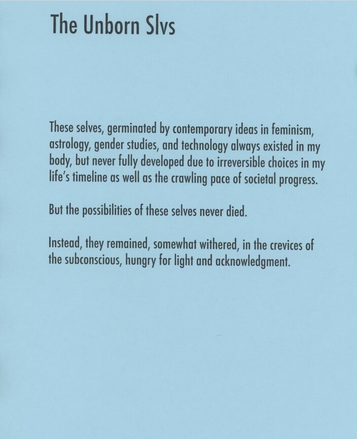 Manifesto-U.S. of I.P.P. — Kate Wildman