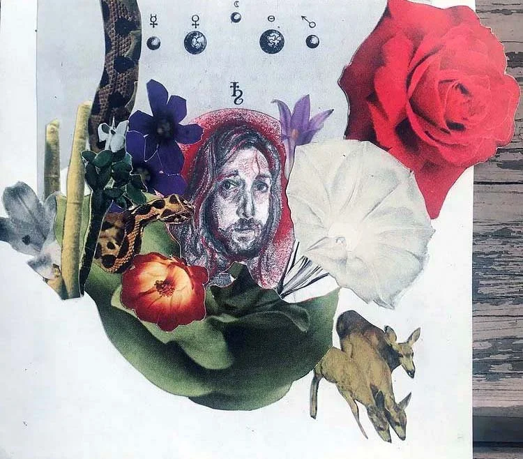 flowering — Kate Wildman