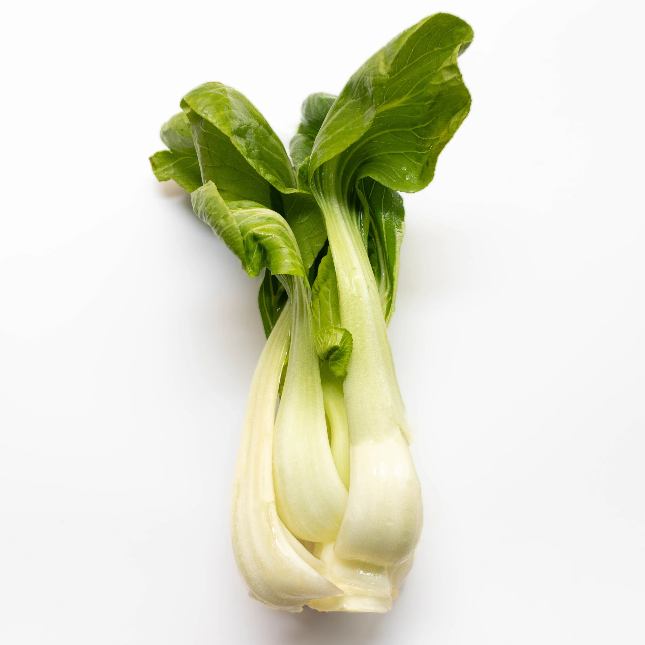 Easy Blanched Bok Choy Recipe — Vicky Pham