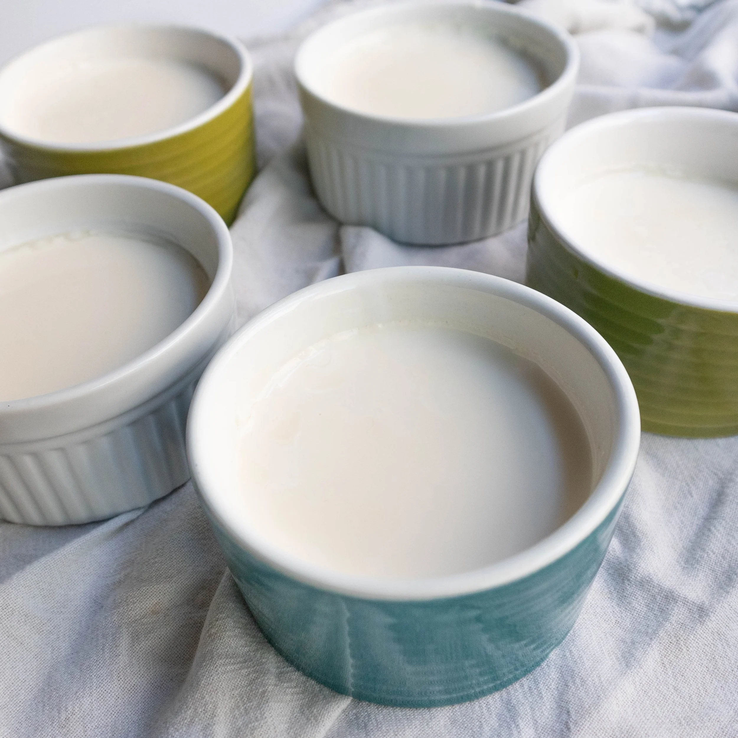 Easy Instant Pot Vietnamese Yogurt (Sữa Chua/Da Ua) — Vicky Pham