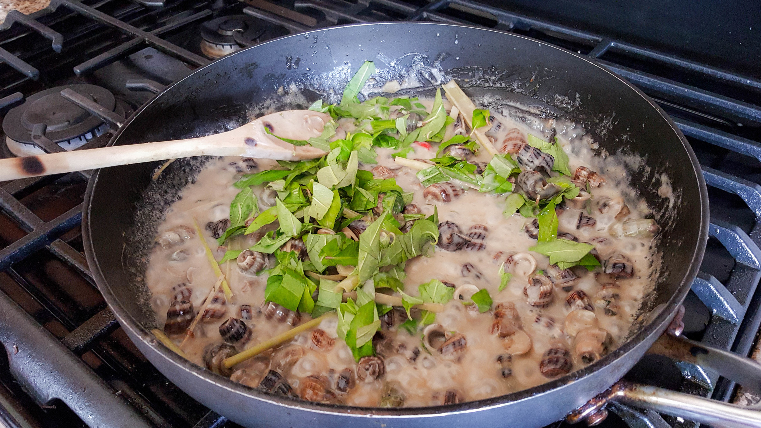 Sea Snails in Coconut Milk (Ốc Len Xào Dừa) — Vicky Pham