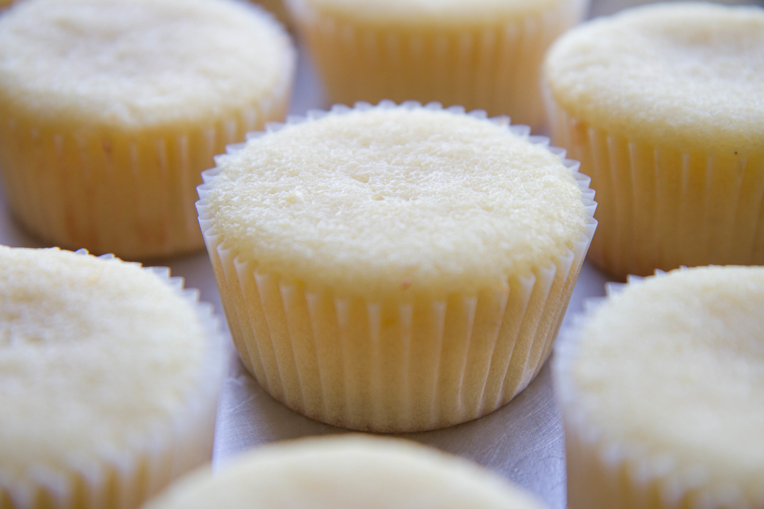 Super Moist Vanilla Cupcakes Recipe — Vicky Pham