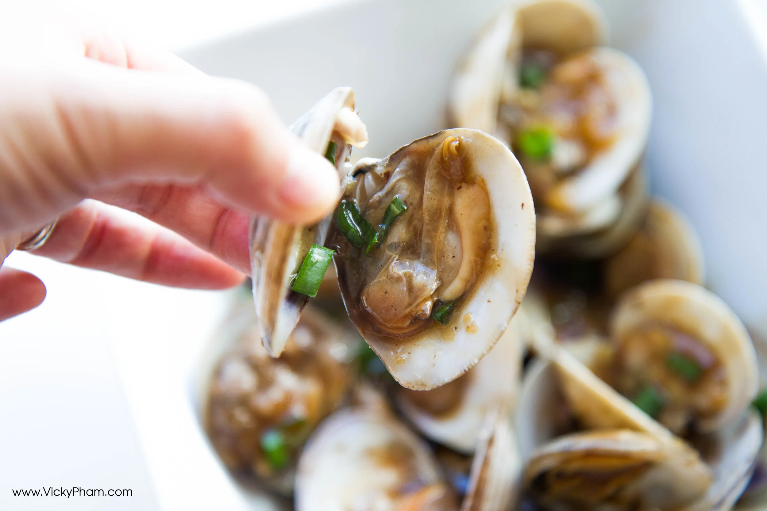 Stir-Fried Clams in Black Bean Sauce (Oc Xao Gung Dau Den) — Vicky Pham