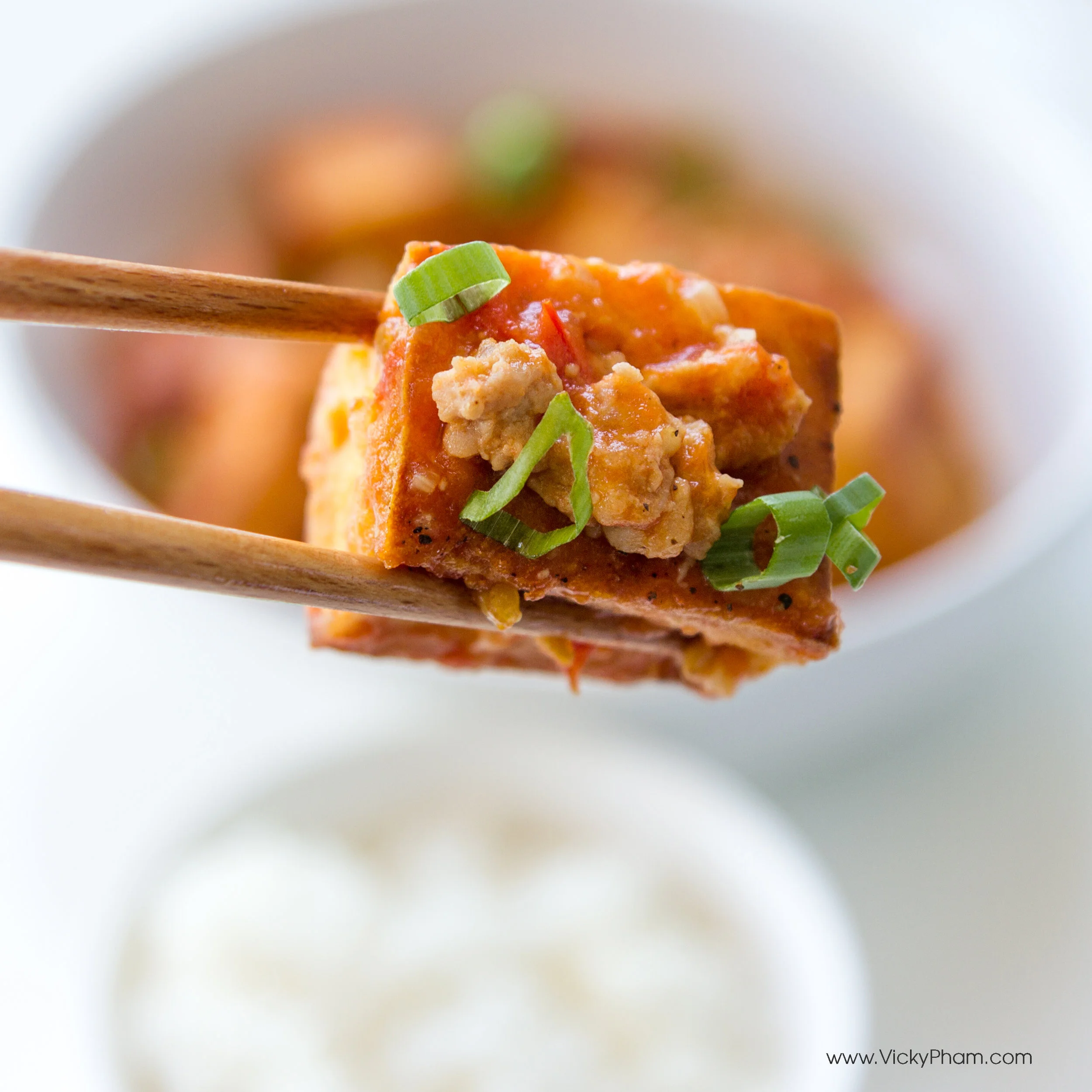 Vietnamese Fried Tofu & Pork in Tomato Sauce (Dau Hu Thit Sot Ca Chua ...