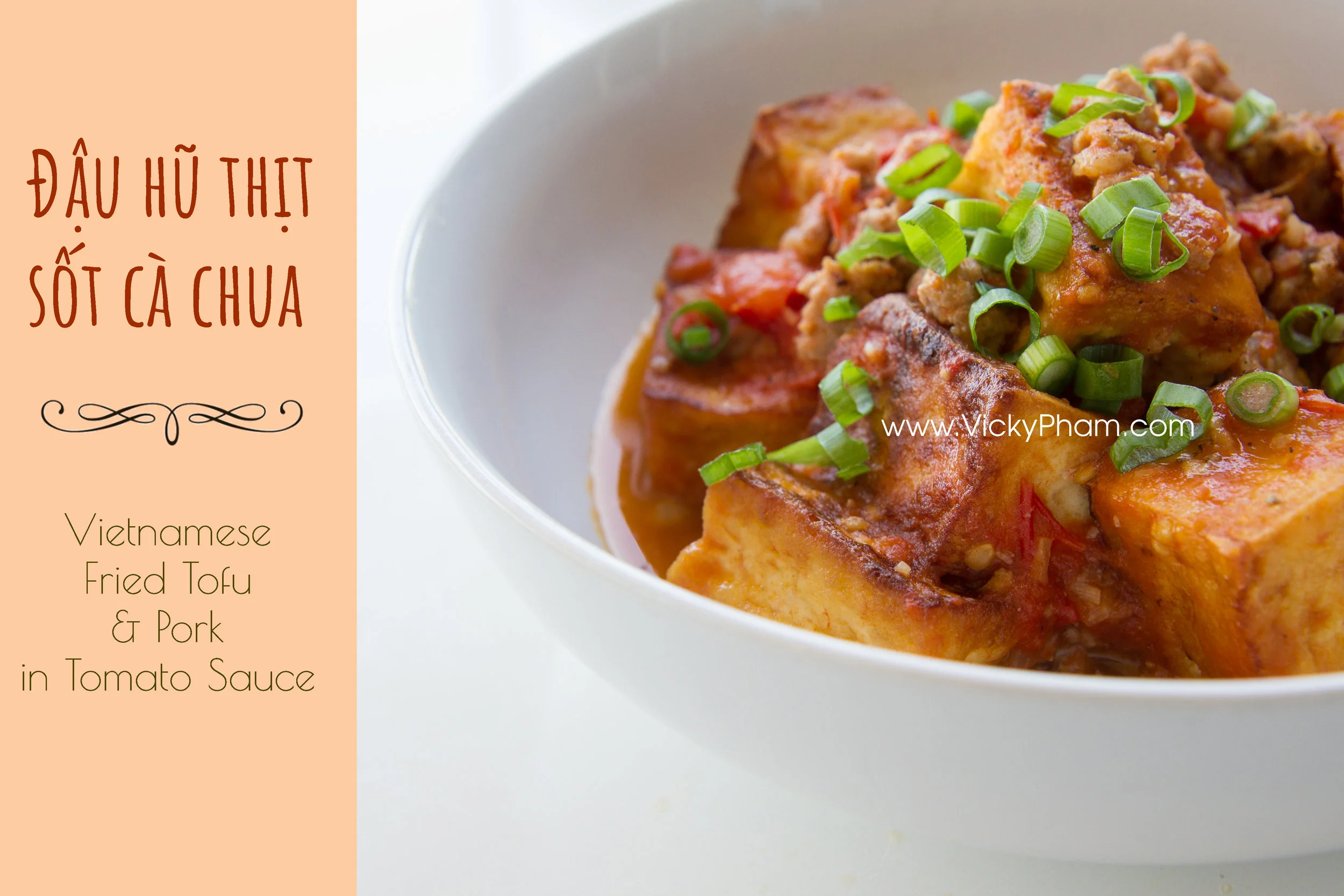 Vietnamese Fried Tofu & Pork in Tomato Sauce (Dau Hu Thit Sot Ca Chua ...