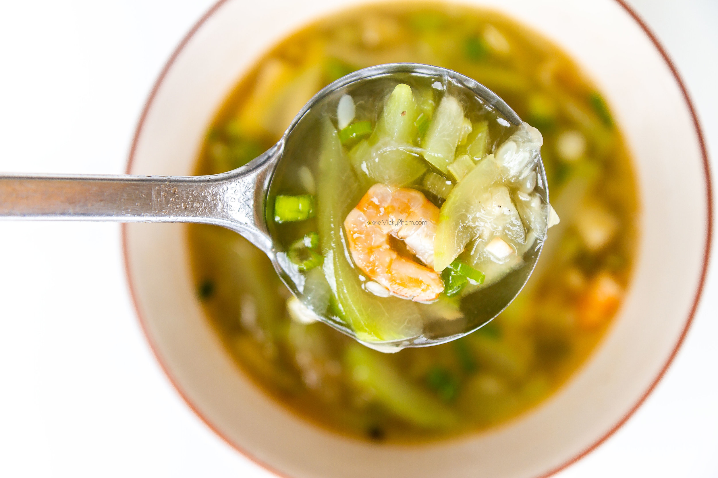 Vietnamese Opo Squash & Dried Shrimp Soup (Canh Bầu Tôm Khô) — Vicky Pham