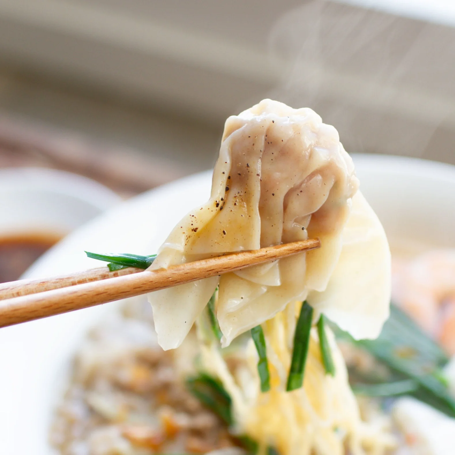 Vietnamese Shrimp & Pork Wonton Recipe (Hoanh Thanh Tom Thit ...