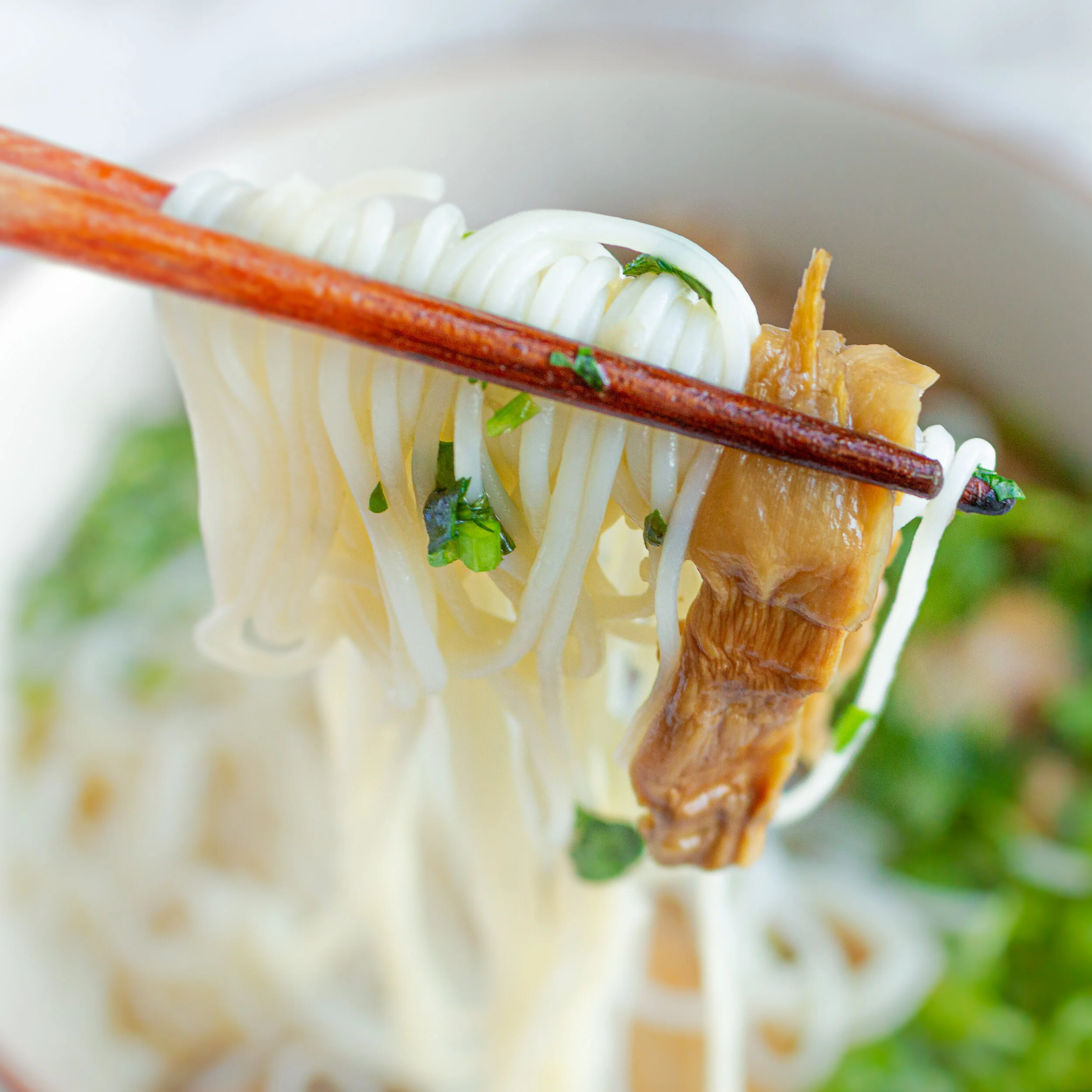 Vietnamese Chicken and Bamboo Noodle Soup (Bun Mang Ga) — Vietnamese ...