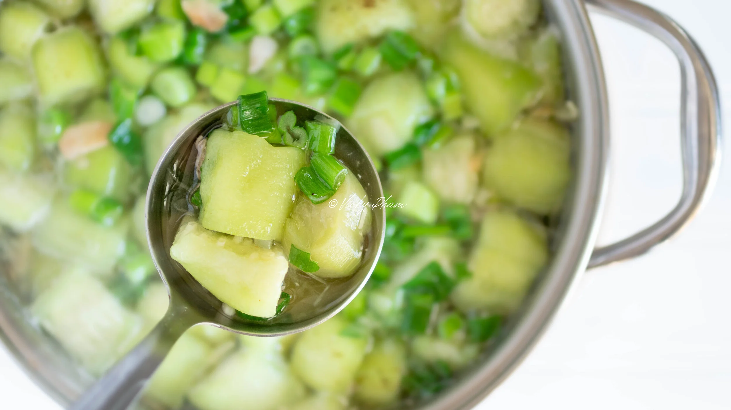 Vietnamese Luffa Gourd Soup with Ground Pork (Canh Mướp Thịt Băm ...