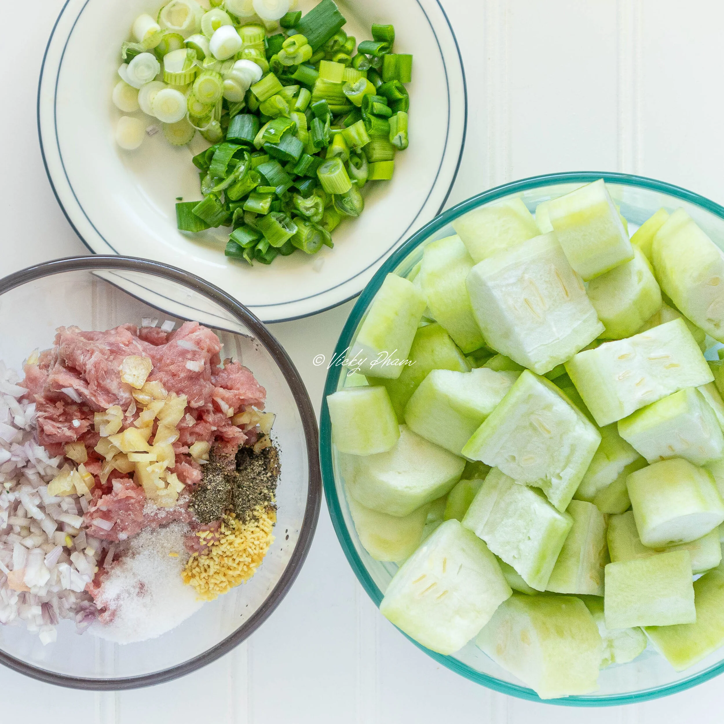 Vietnamese Luffa Gourd Soup with Ground Pork (Canh Mướp Thịt Băm ...