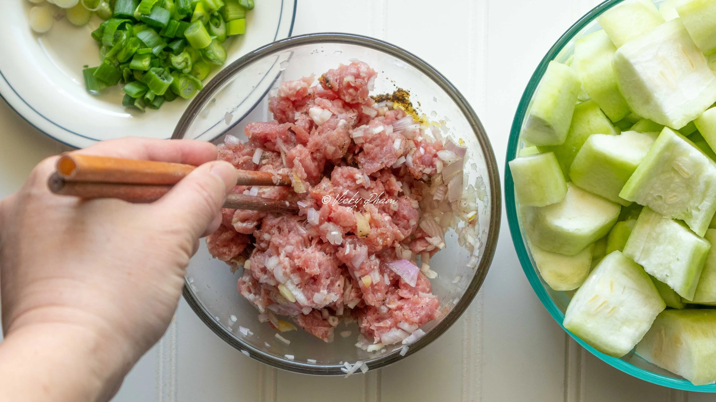 Vietnamese Luffa Gourd Soup with Ground Pork (Canh Mướp Thịt Băm ...