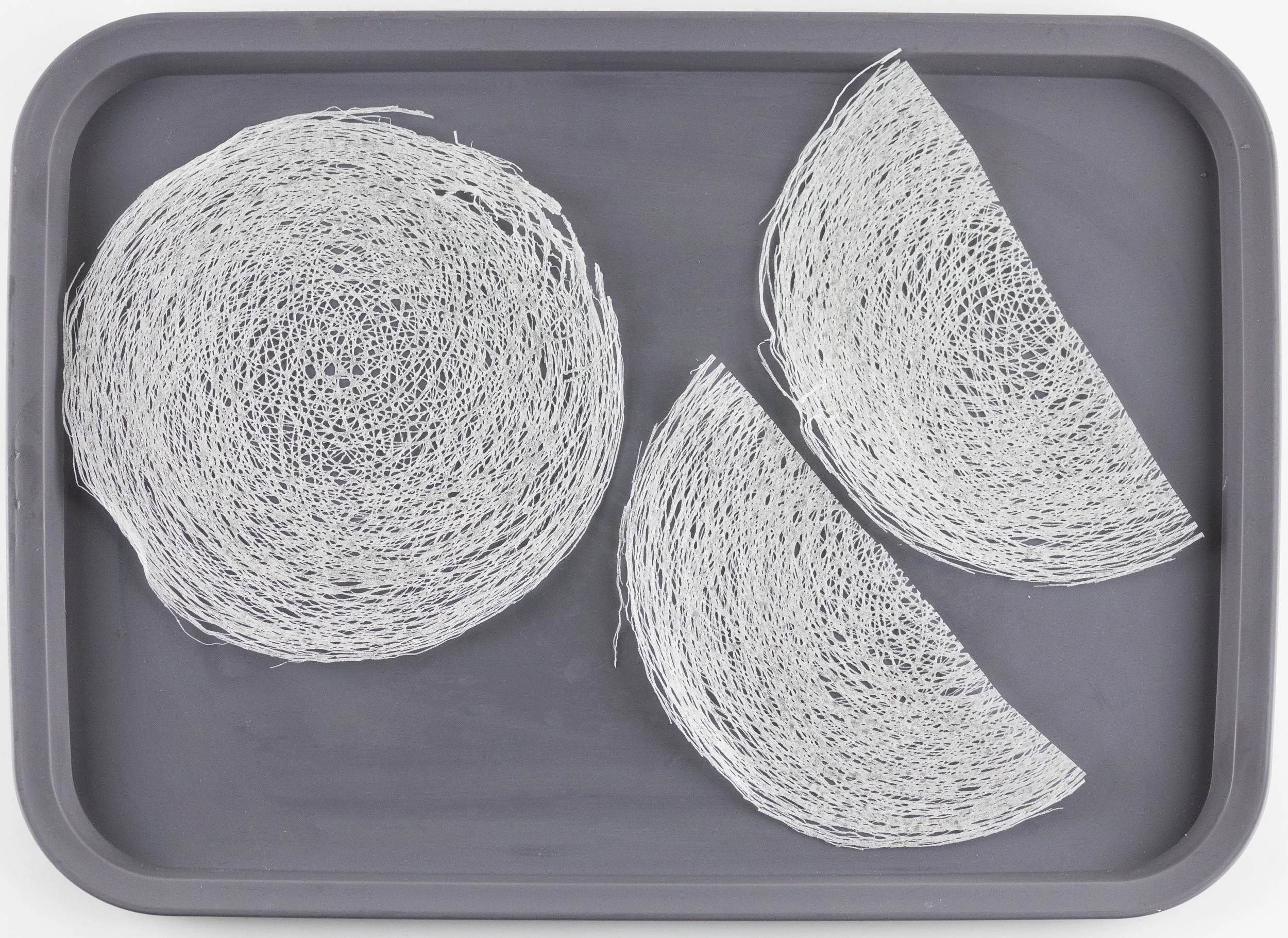 Crispy Whole Shrimp Appetizer with Netted Rice Paper Wrapper — Vicky Pham