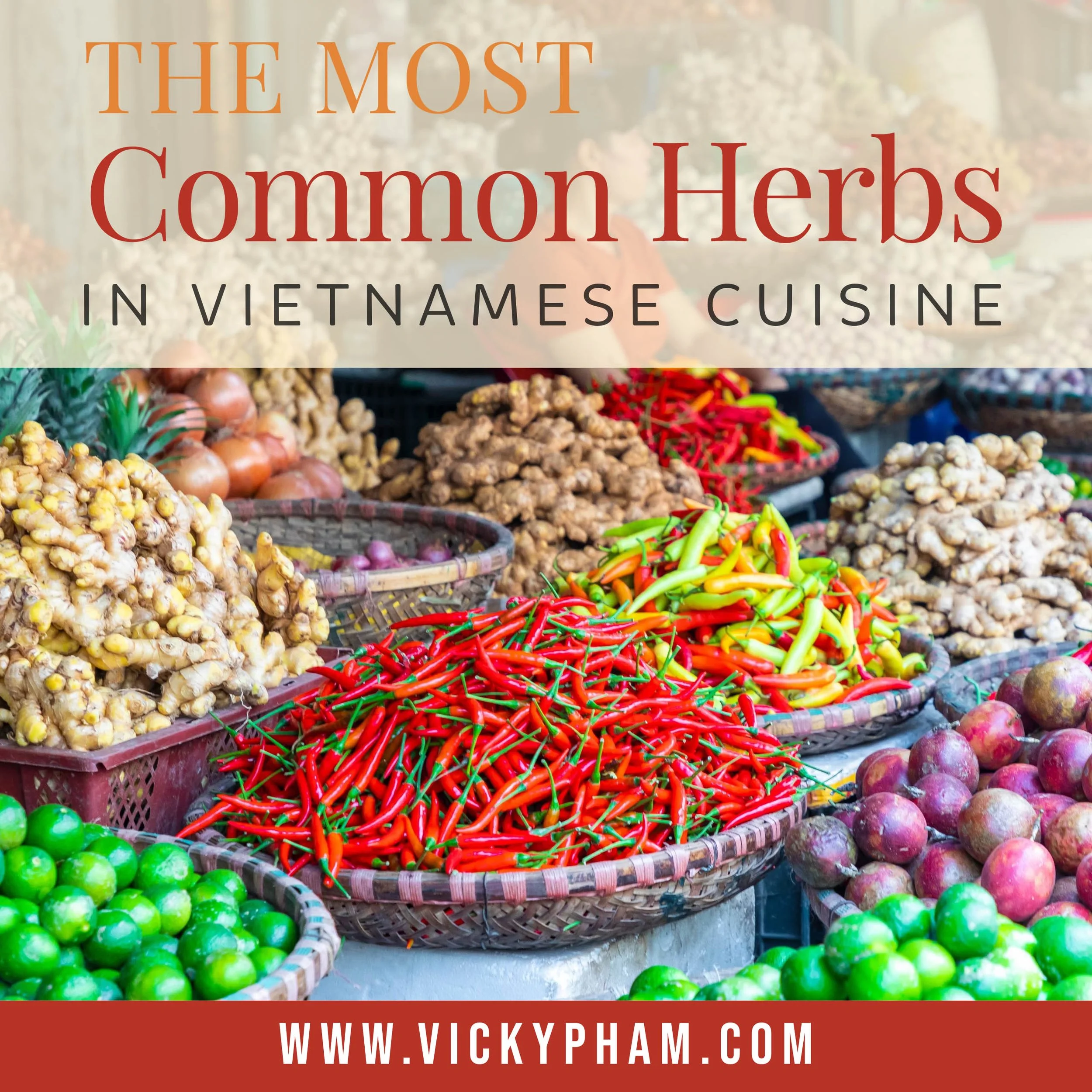 A Guide to the Most Common Herbs in Vietnamese Cuisine — Vicky Pham