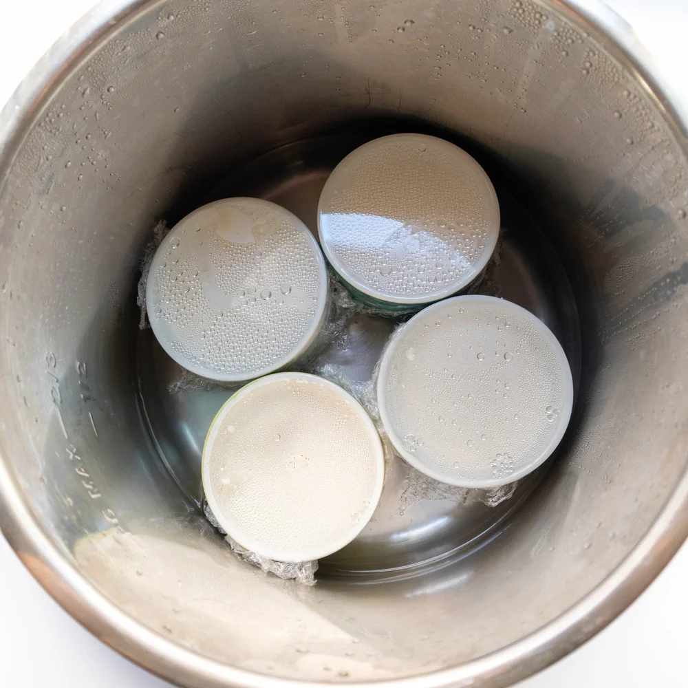 Easy Instant Pot Vietnamese Yogurt (Sữa Chua/Da Ua) — Vicky Pham