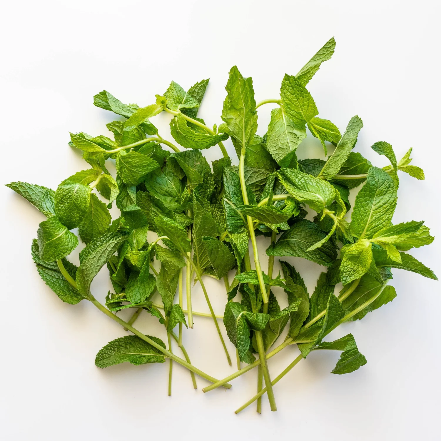 A Guide To The Most Common Herbs In Vietnamese Cuisine — Vicky Pham 4497