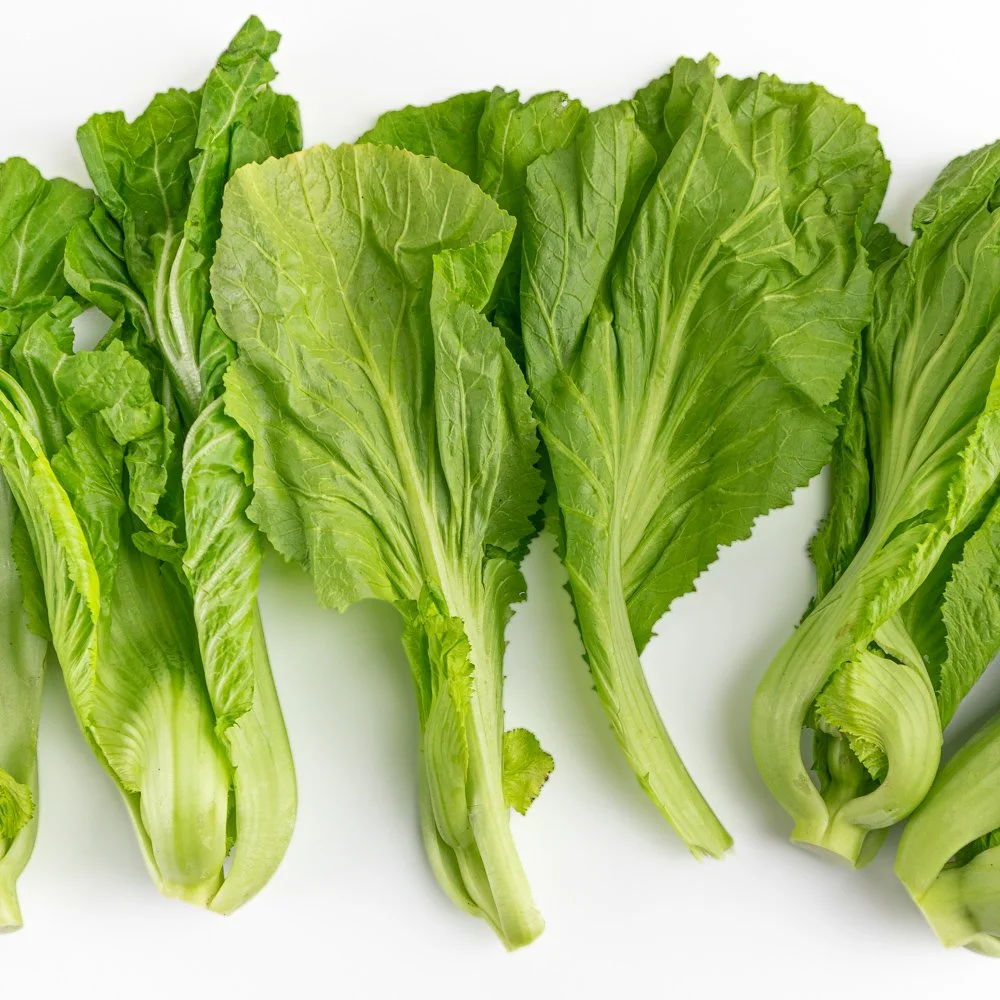 Vietnamese Pickled Mustard Greens (Dưa Cải Chua) — Vicky Pham