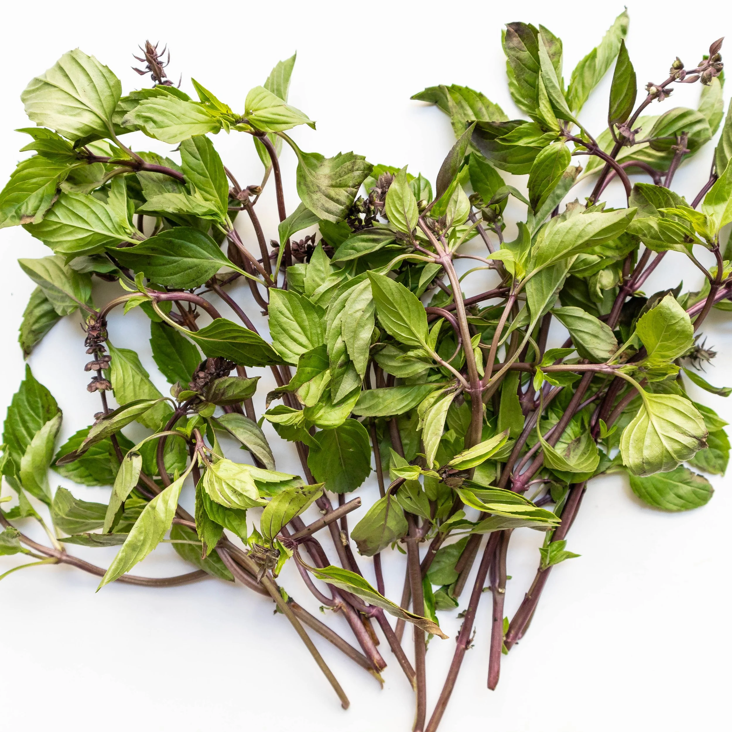 A Guide to the Most Common Herbs in Vietnamese Cuisine — Vicky Pham