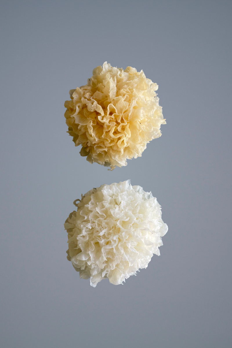 Snow Fungus in Floral Design — Susan McLeary