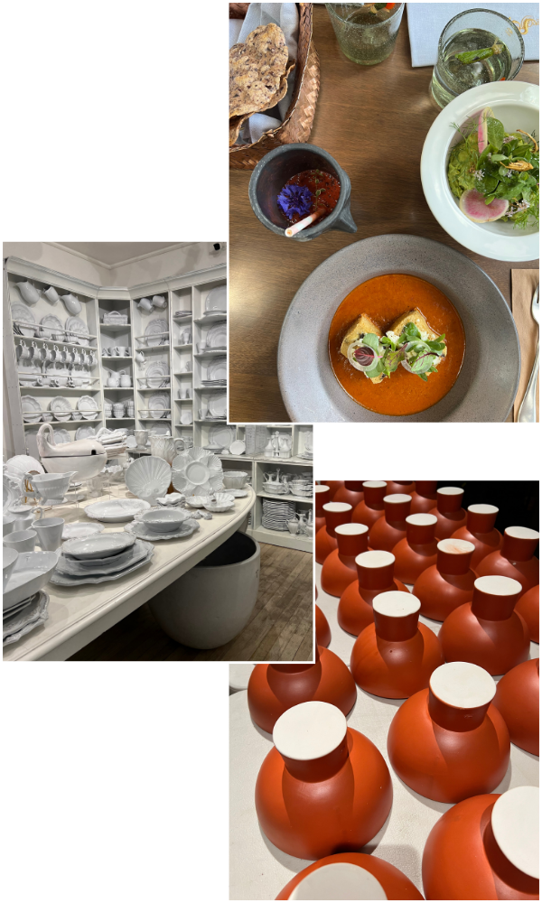 A Florist's Guide to Mexico City: The Carlota Flower Lab and Beyond ...