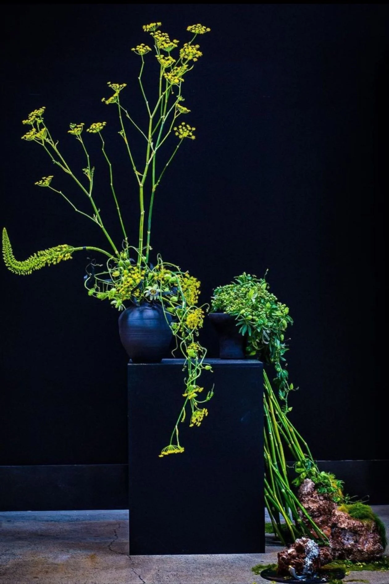 Culturing Creative Floral Design — Susan McLeary
