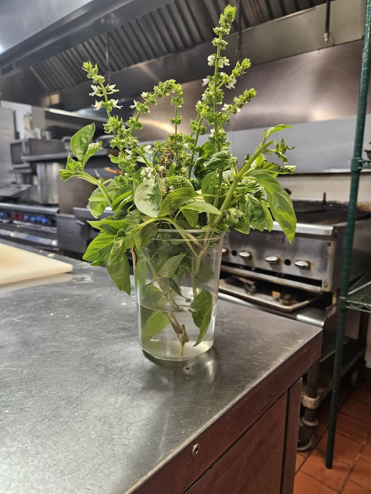 About — Winds Cafe