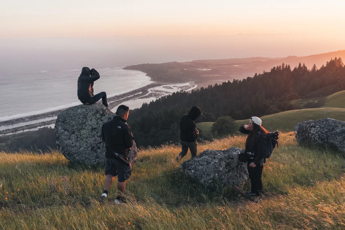 Blog — MIGHTYKILLERS®