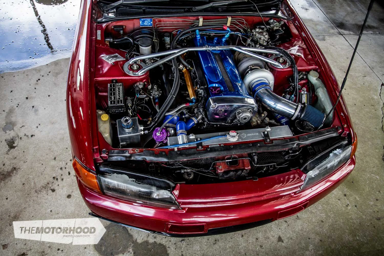 Godzilla's wrath: Project GT-X | NZV8