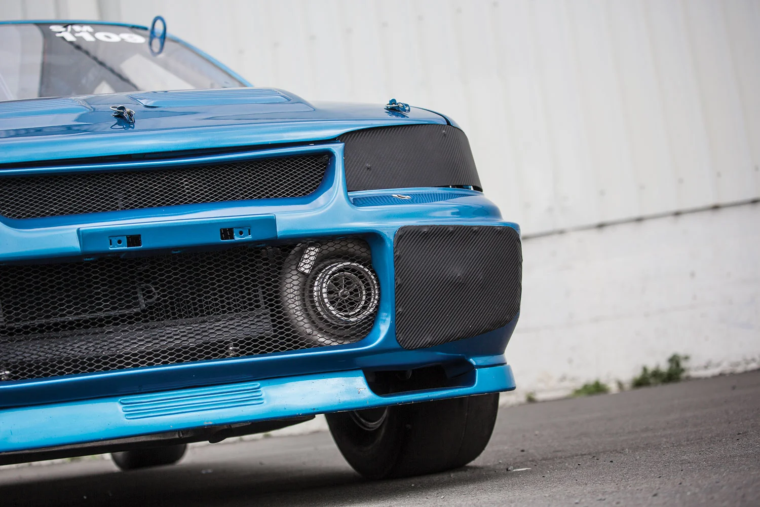 Are Dogs Allowed In Evo Cars